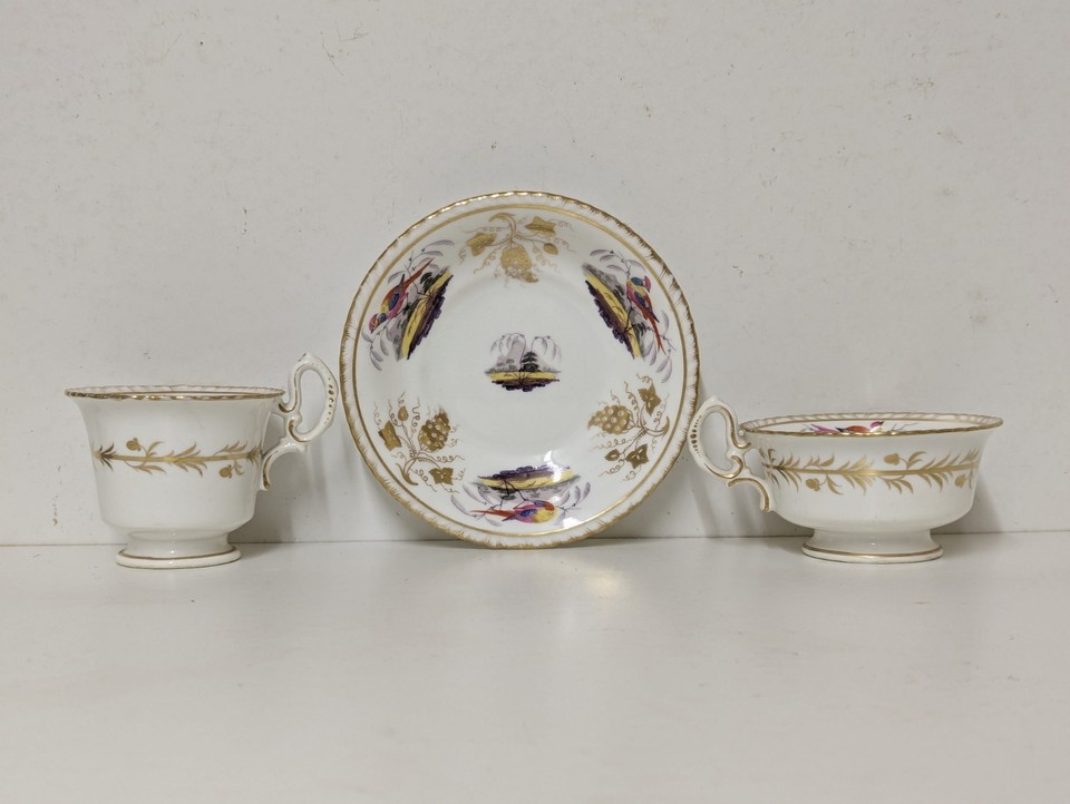 Antique Grainger Worcester 2 Cups & Saucer Trio Exotic Birds & Gilt ...