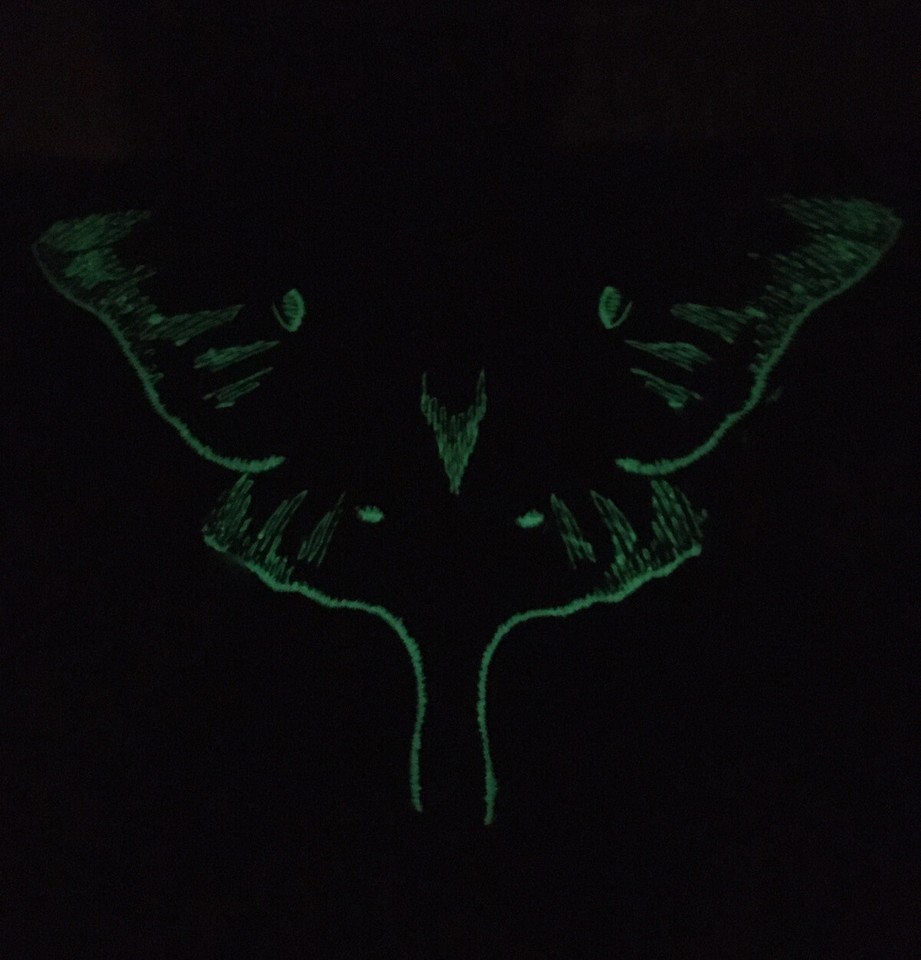GLOW in DARK Large 6” Inch Embroidered Luna Moth IRON ON Patch | eBay