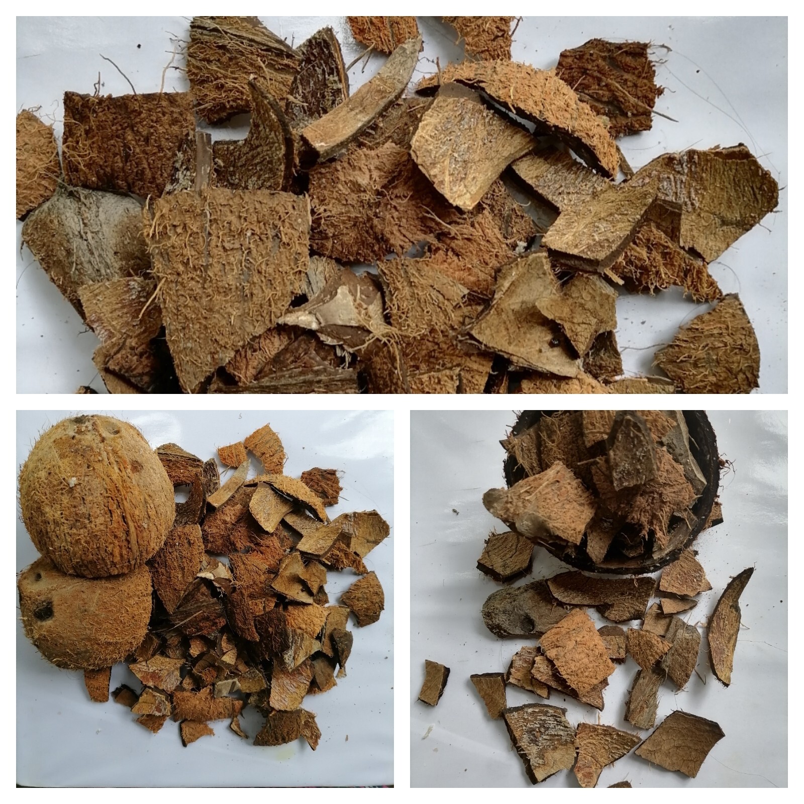 Coconut Shell Chips Eco Friendly Pure Organic 100% Ceylon Natural | eBay