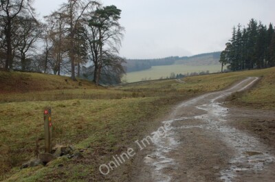 Photo 6x4 Track junction on the John Buchan Way Stobo The John Buchan ...