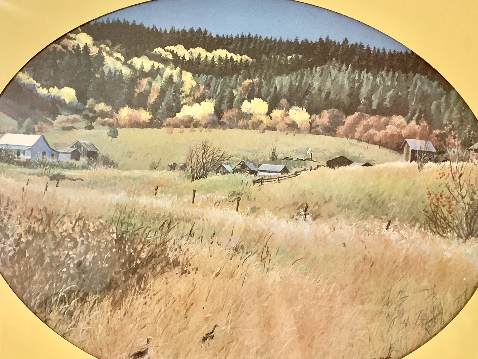 Old Mooser Homestead Cloudcroft New Mexico Sacramento Mountains By Tom ...