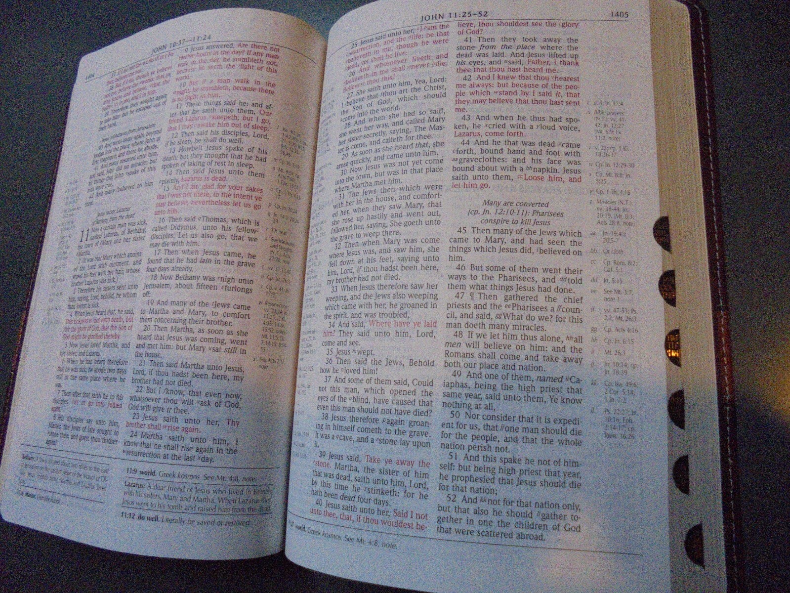 OXFORD Scofield® Study Bible/KJV/Red-Letter/Thumb-Indexed (2003 Faux ...