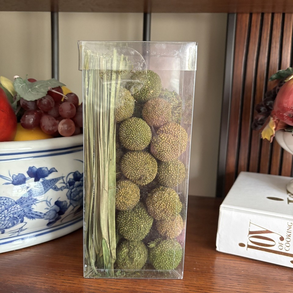 Pottery Barn Fresh Cut Potpourri Moss Balls Plantains Grass Sage Lime ...