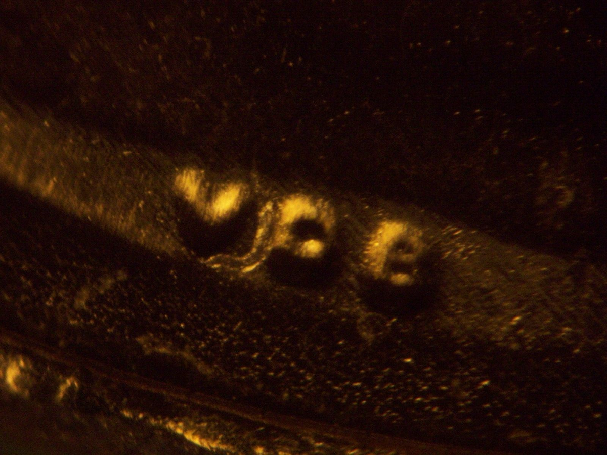 2024 Penny Error Extra V