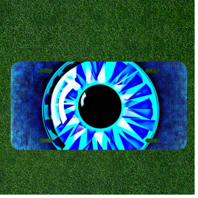 Custom Personalized License Plate Auto Tag With Blue Colorful Pupil ...