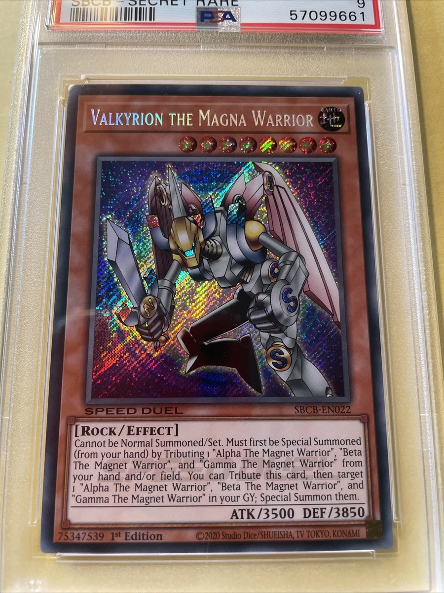 Valkyrion The Magna Warrior