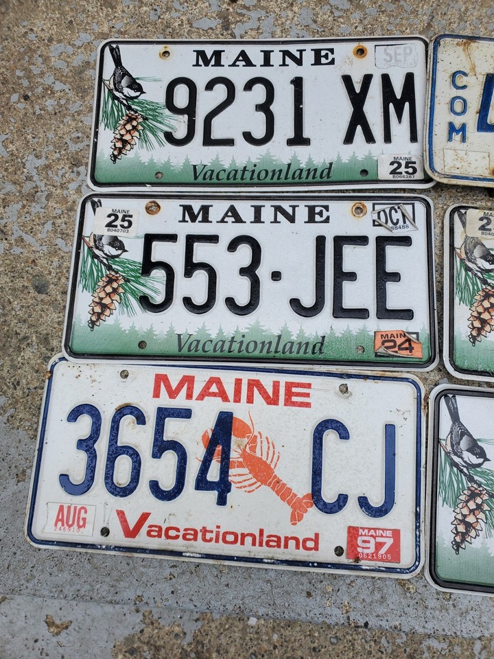 6 VINTAGE MAINE LICENSE PLATE CHICKADEE Lobster RANDOM LETTERS/ NUMBERS ...
