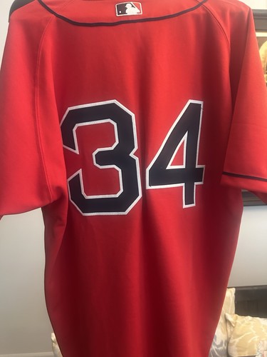 David Ortiz Big Papi Signed Boston Redsox MLB Baseball Jersey ...