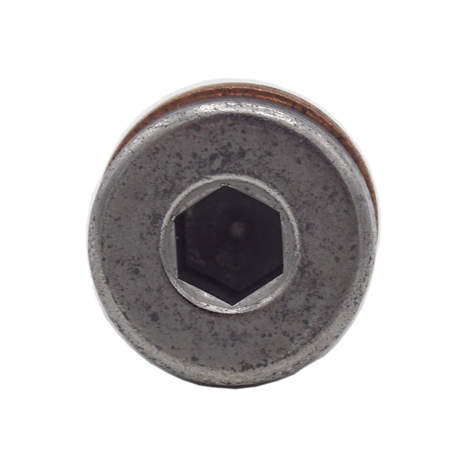 4 x YOU.S Ölablass-Schraube M10x1,0 mm für Audi A1 A2 A3 A4 A5 A6 ...