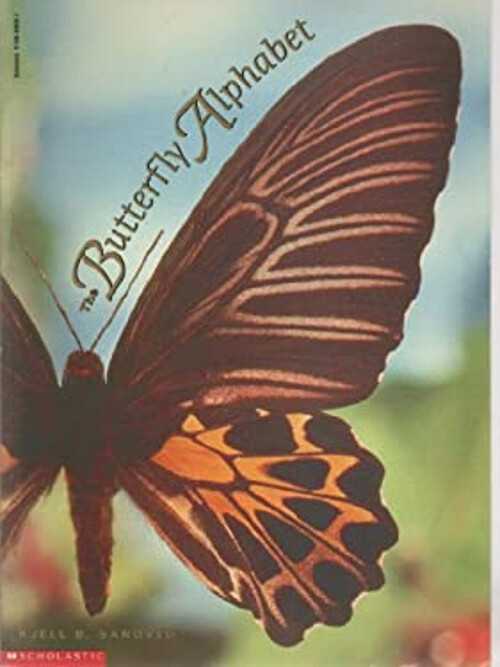 BUTTERFLY ALPHABET Kjell B. Sandved | eBay