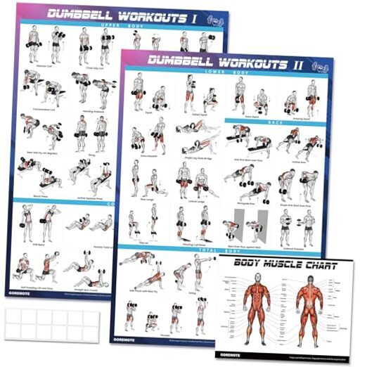 Multi Gym Workout Chart Free Printable - Infoupdate.org