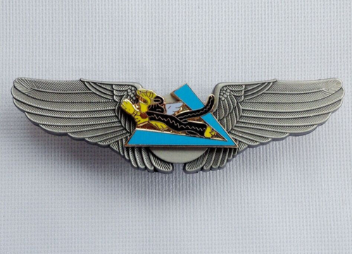 WW2 AVG Chinese US Air Forces Flying Tigers Badge Pilot GRAY Wings PIN ...