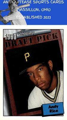 1994 Topps Gold #208 Andy Rice | eBay