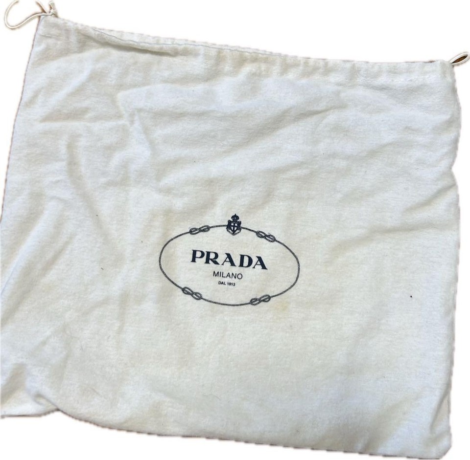 PRADA Silver Snake Skin Handbag Authentic No Damage | eBay