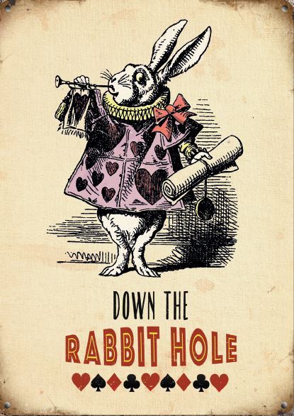 Alice In Wonderland Rabbit Hole Quote