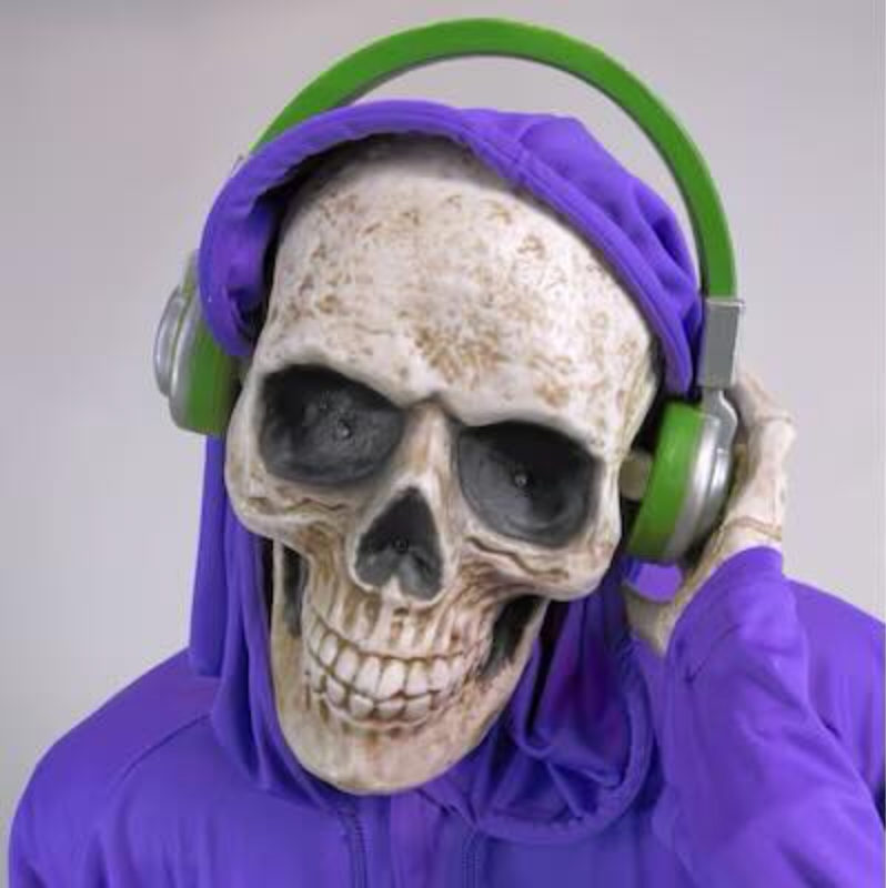 Haunted Living 5.5Ft Bluetooth Reaper DJ Skeleton Animatronic | eBay