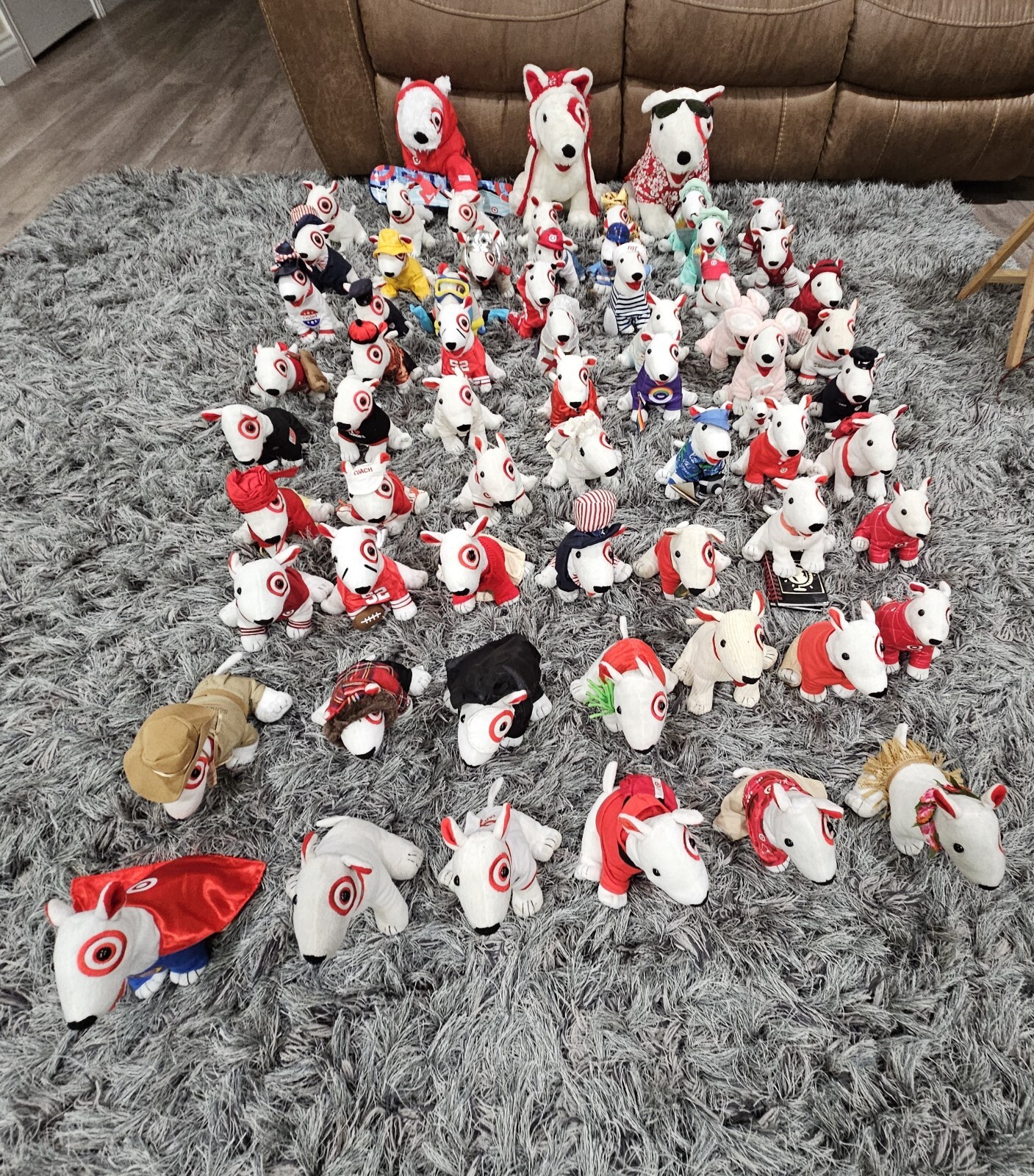 Target Dogs 65 | eBay