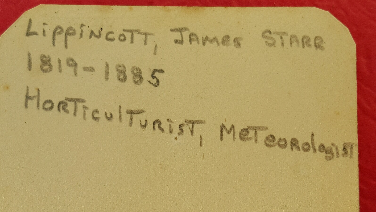 CDV Trenton NJ James Starr Lippincott Horticulturist Author Antique ...