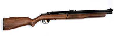 Crosman Corp. Model 178B Pneu-Dart Air Rifle Williamsport PA Bloomfield ...
