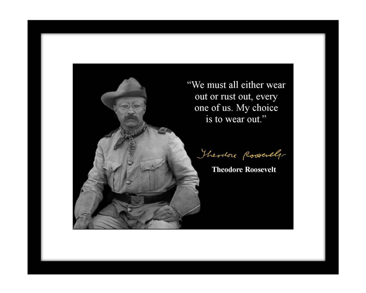 Theodore Roosevelt Inspirational Quotes Theodore Roosevelt Famous