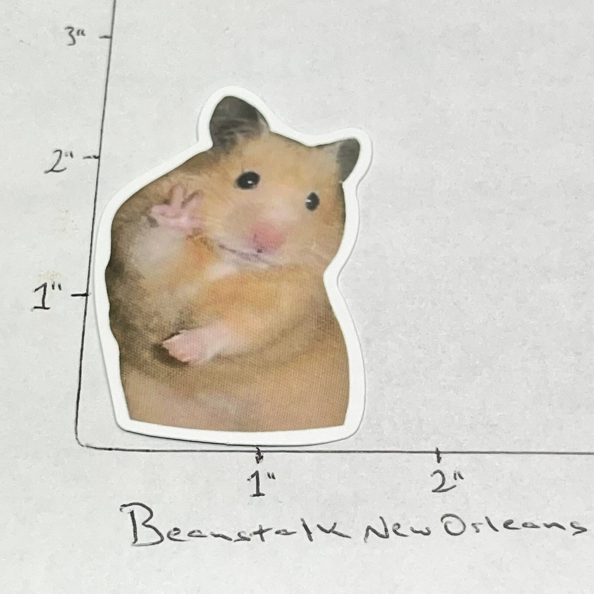 Hamster Sign Language