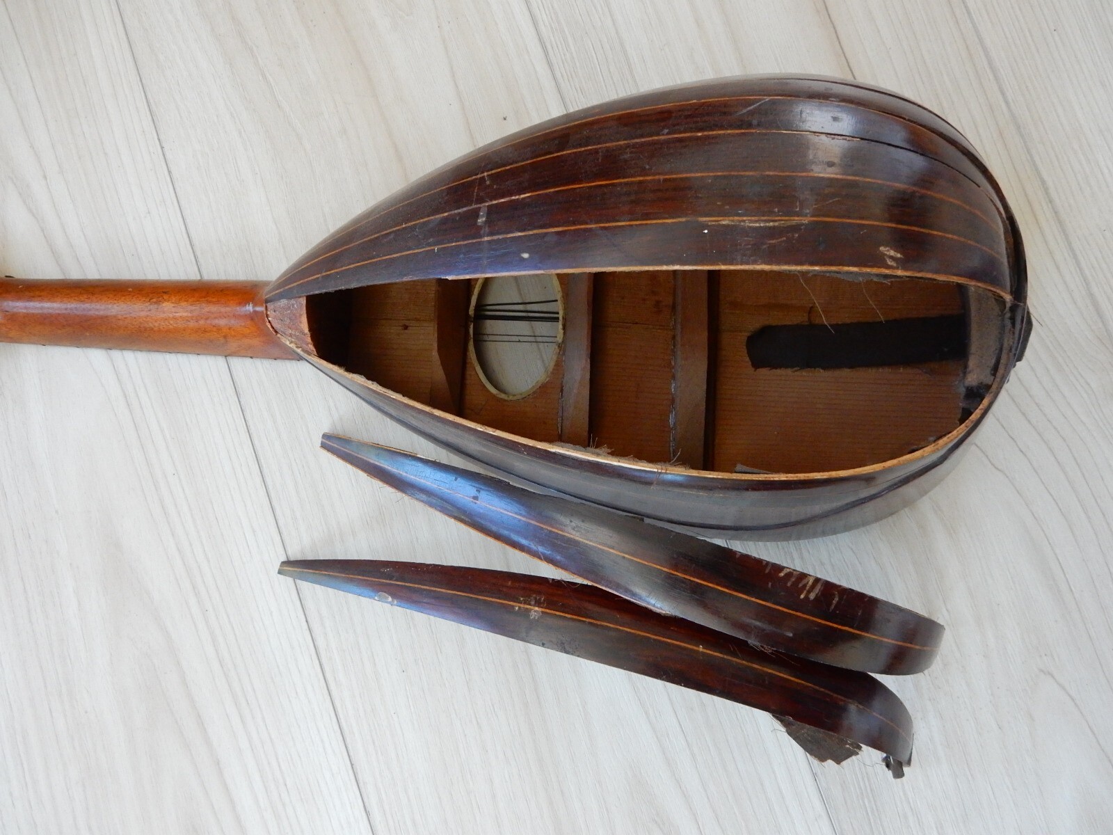 Circa 1900 Antique Oscar Schmidt Bowl Back 12-String Mandriola For ...