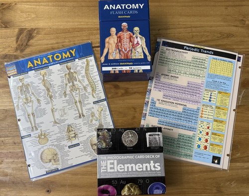 Quick Study Reference Guide Lot Flash Cards Anatomy Chemistry | eBay