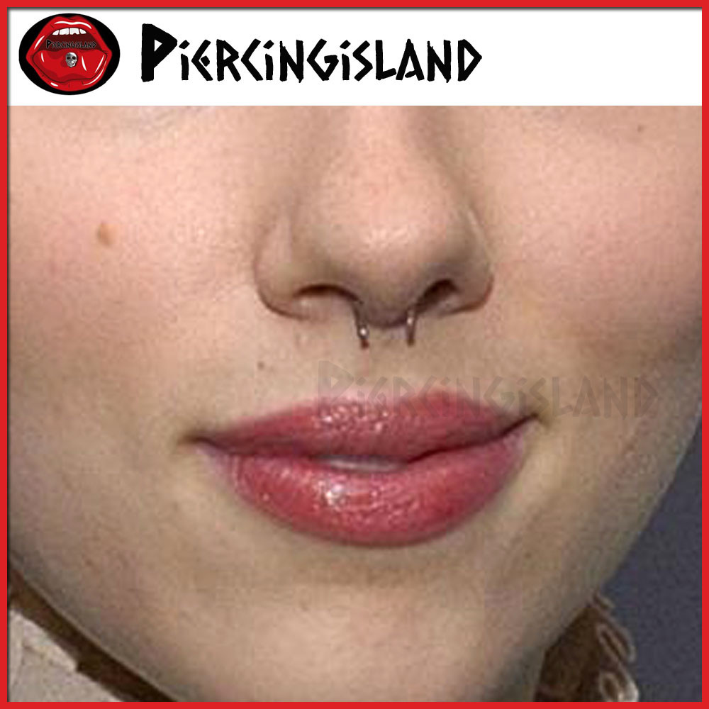 Buffalo Pincher Surgical Steel Awl Horseshoe Septum Body Ear Nose Ring ...