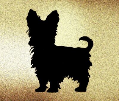 Yorkie Stencil Mylar Yorkies Dog Dogs Stencils | eBay