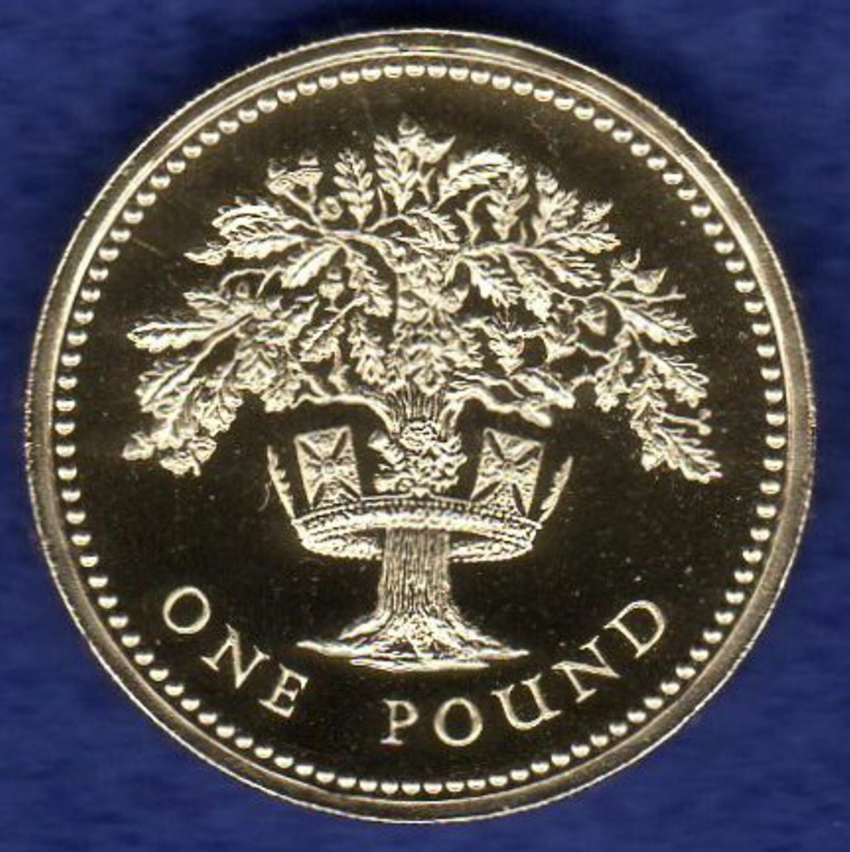 Great Britain, Proof £1, One Pound Coin, Choice of Year, Choose Your ...