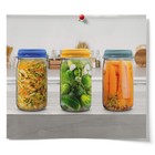 Fermentaholics Patented Silicone Fermentation Stretch Lids, 4 Pack | eBay