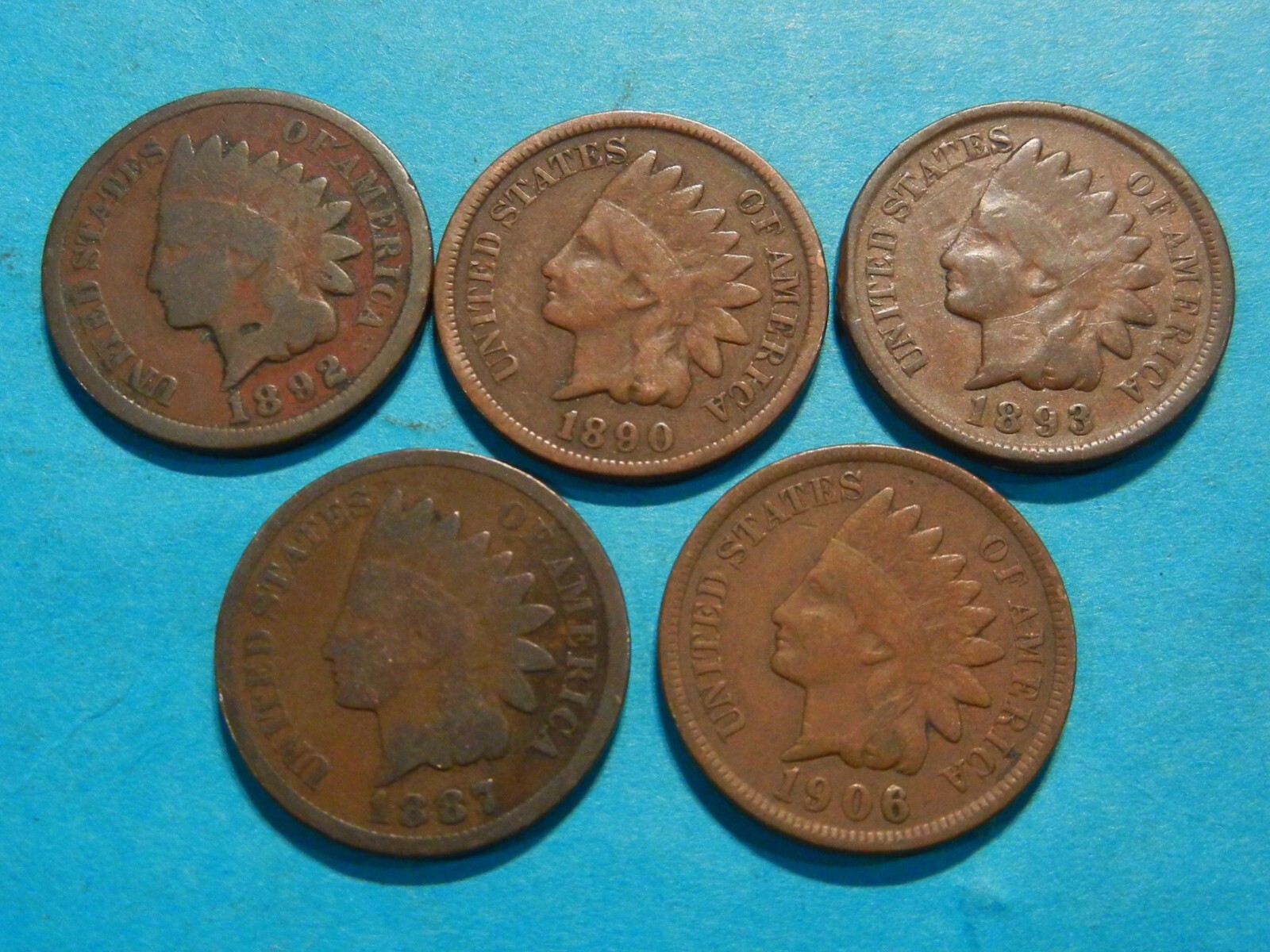 lot 5 us indian head cent collection one cent coins all different dates ...