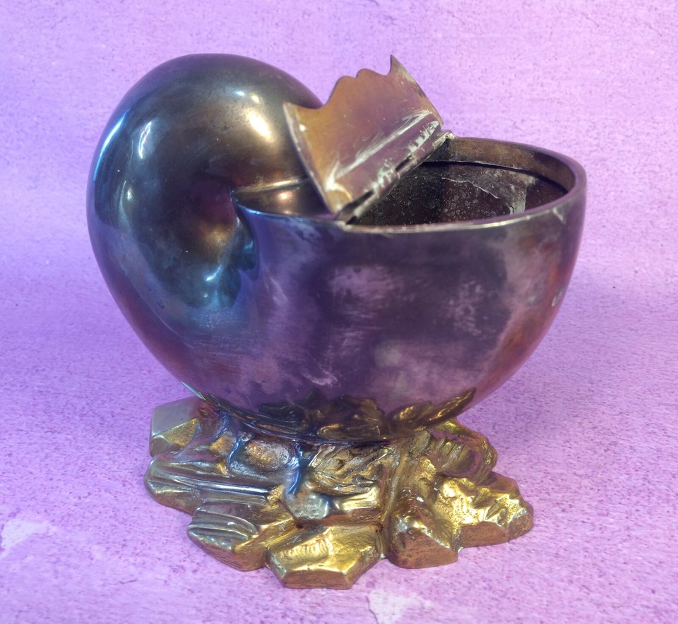 Victorian Spoon Warmer Nautilus Shell 1800s Antique Silverplate Brass ...