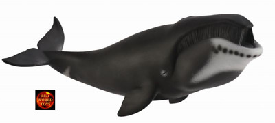 Bowhead Arctic Whale Sealife Toy Model Figure by CollectA 88652 Brand ...
