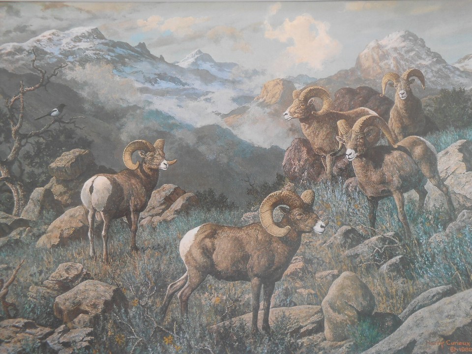 Harry Adamson NOBLES OF THE RIMROCK-BIG HORN SHEEP 11x14 framed 4.75 ...