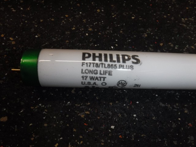 Philips 382150 - F17t8/tl865 Plus Straight T8 Fluorescent Tube Light ...