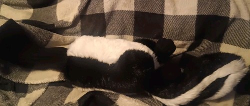 Golf Club Cover Plush "Stinker" skunk butt heads cover | eBay