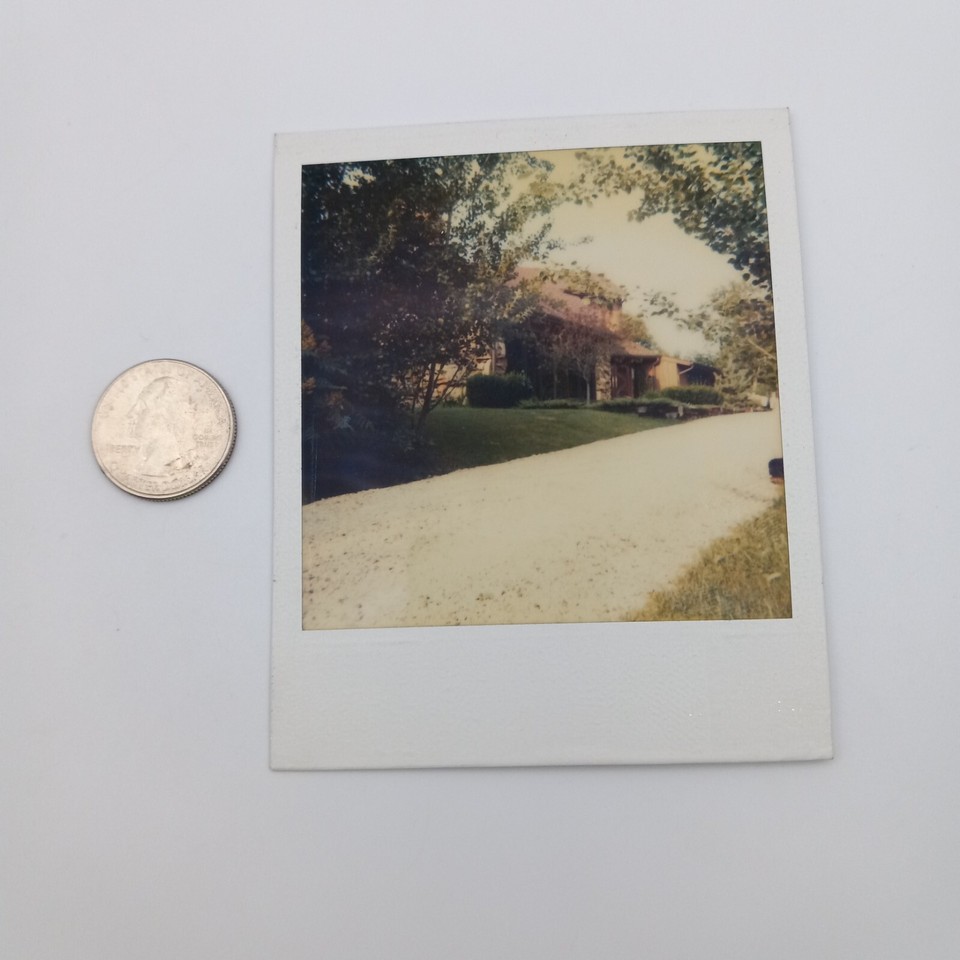 Vintage Polaroid Photo Scenic Outdoor Yard Trees House Lawn Found Art ...