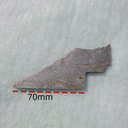 72g Aletai Iron Meteorite Slice | eBay
