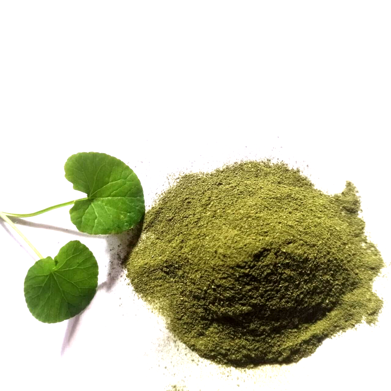 Dried Centella Asiatica Leaves Powder Gotukola Brain Booster Organic ...
