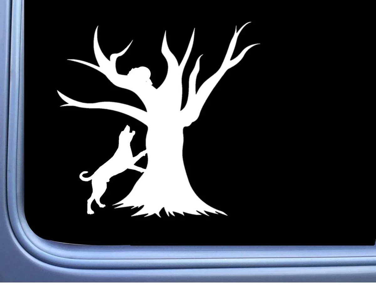 Coon Decals