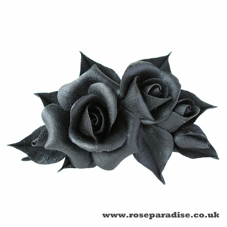 Unique Black Roses