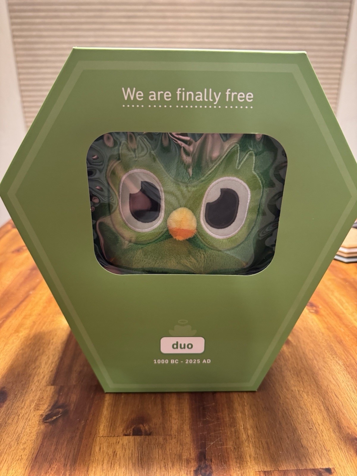 NIB Plush Dead Duolingo Duo Plushie in Coffin Box Brand New Limited ...