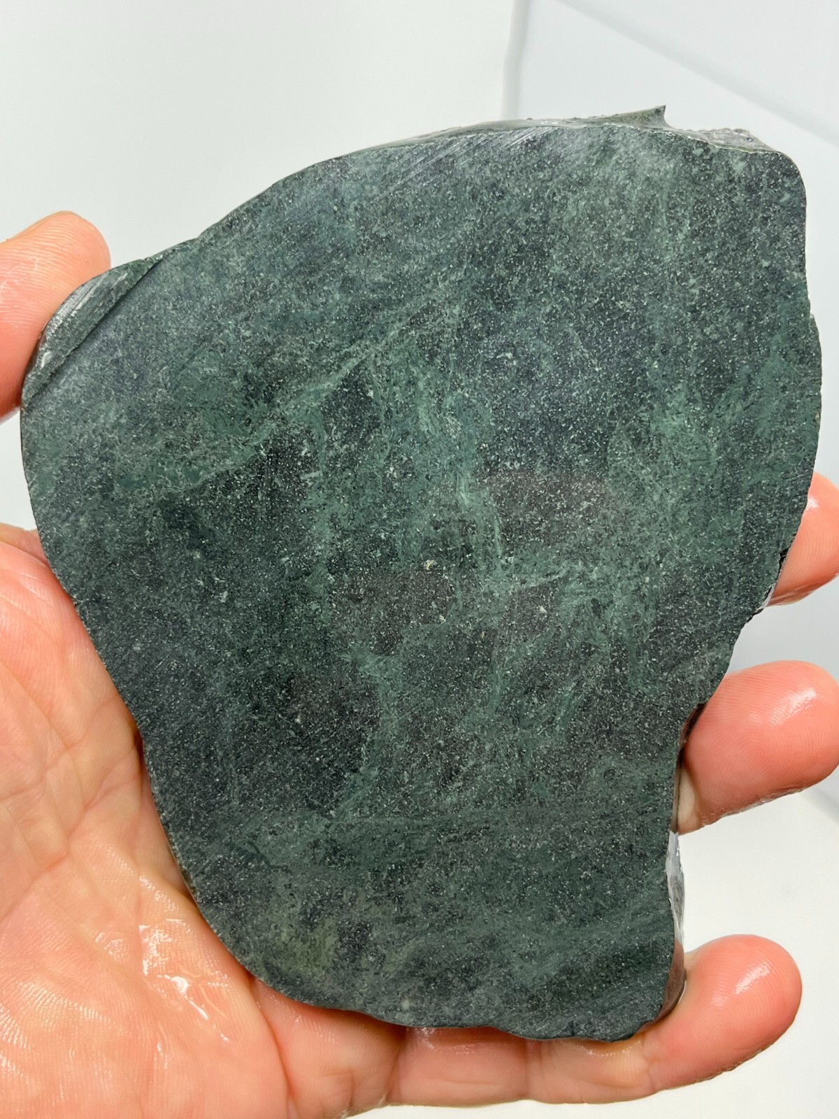 Washington state Jade slab for Cabbing Lapidary Carving Chakra Reiki | eBay