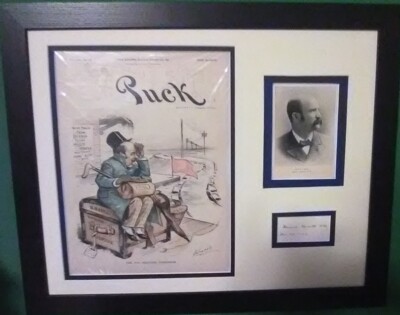 David B Hill (1843-1910) / Autograph / U.S. Sen & Gov New York / 16x20 ...