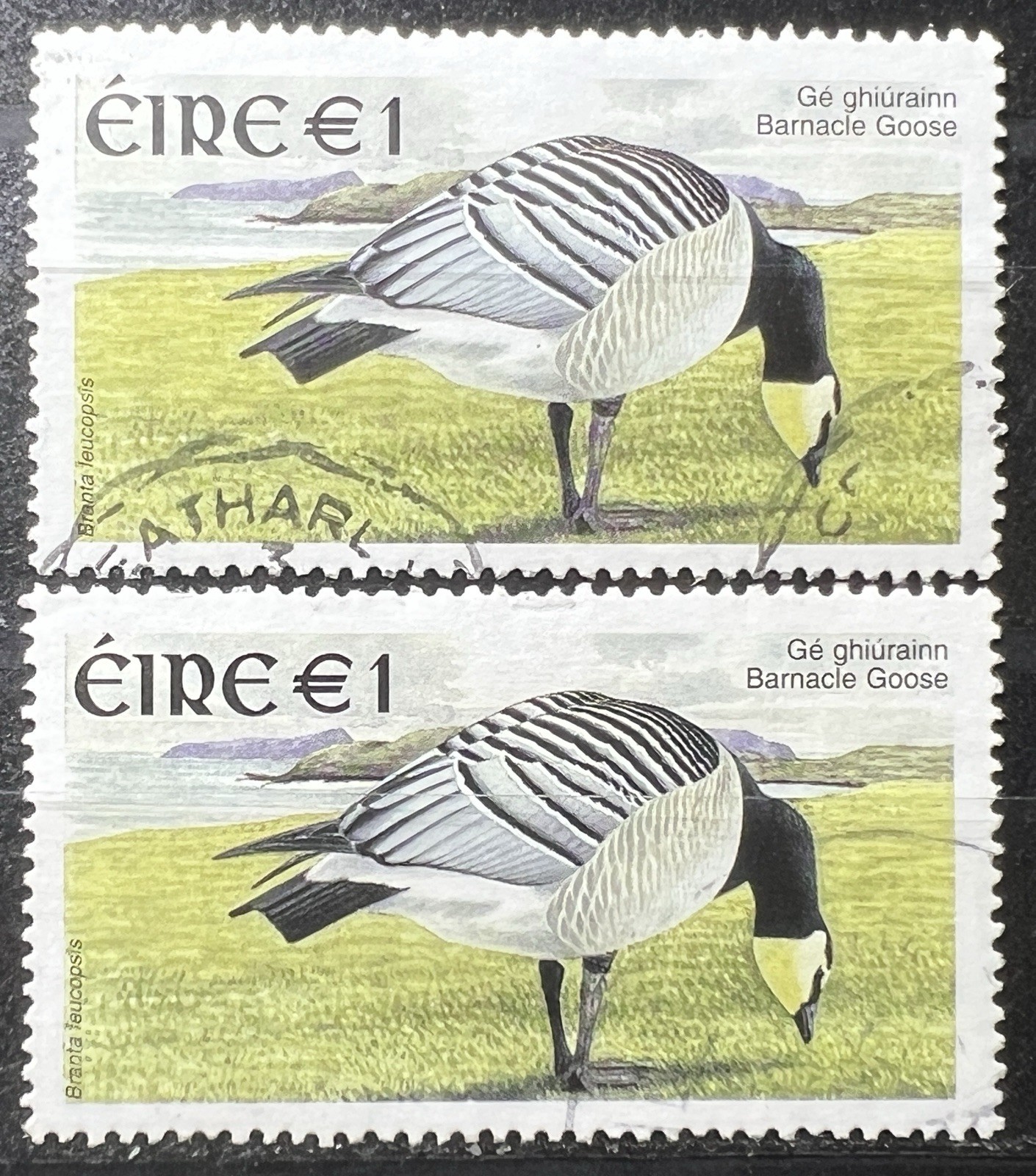 Ireland 2002 Barnacle Goose €1 Two EIRE Irish Stamps 10th Definitive ...