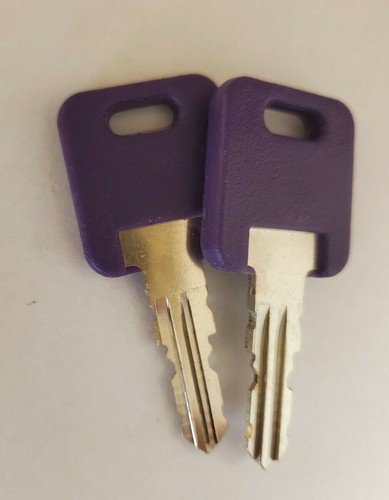 1 Pair (2 keys) Global Link Precut Keys G390 RV Trailer Camper Keys | eBay
