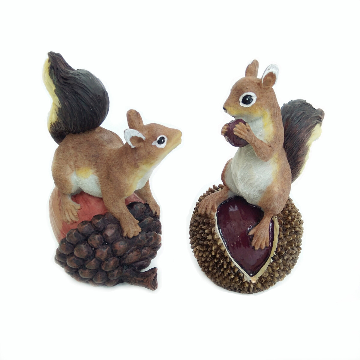 Acorns And Squirrels A) Asian Red Cheeked Squirrel. Photo: Lin Cao.