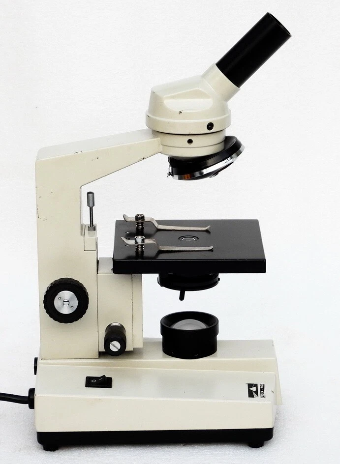 Physical Compound Light Microscopes | Shelly Lighting Physical Compound Light Microscopes | Shelly Lighting