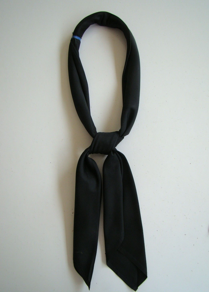 US NAVY USN ALL RANKS RATES ENLISTED & P/O DRESS WHITES & BLUES ...